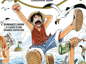 One Piece en salle en France